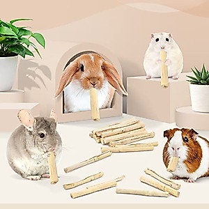 Bissap 700g/1.5Ib Sweet Bamboo Chew Sticks for Rabbits, Bunny Chew Sticks for Rabbits Hamster Chinchilla Guinea Pigs Rabbit Small Animals Natural Treats Teeth Grinding Chew Toys