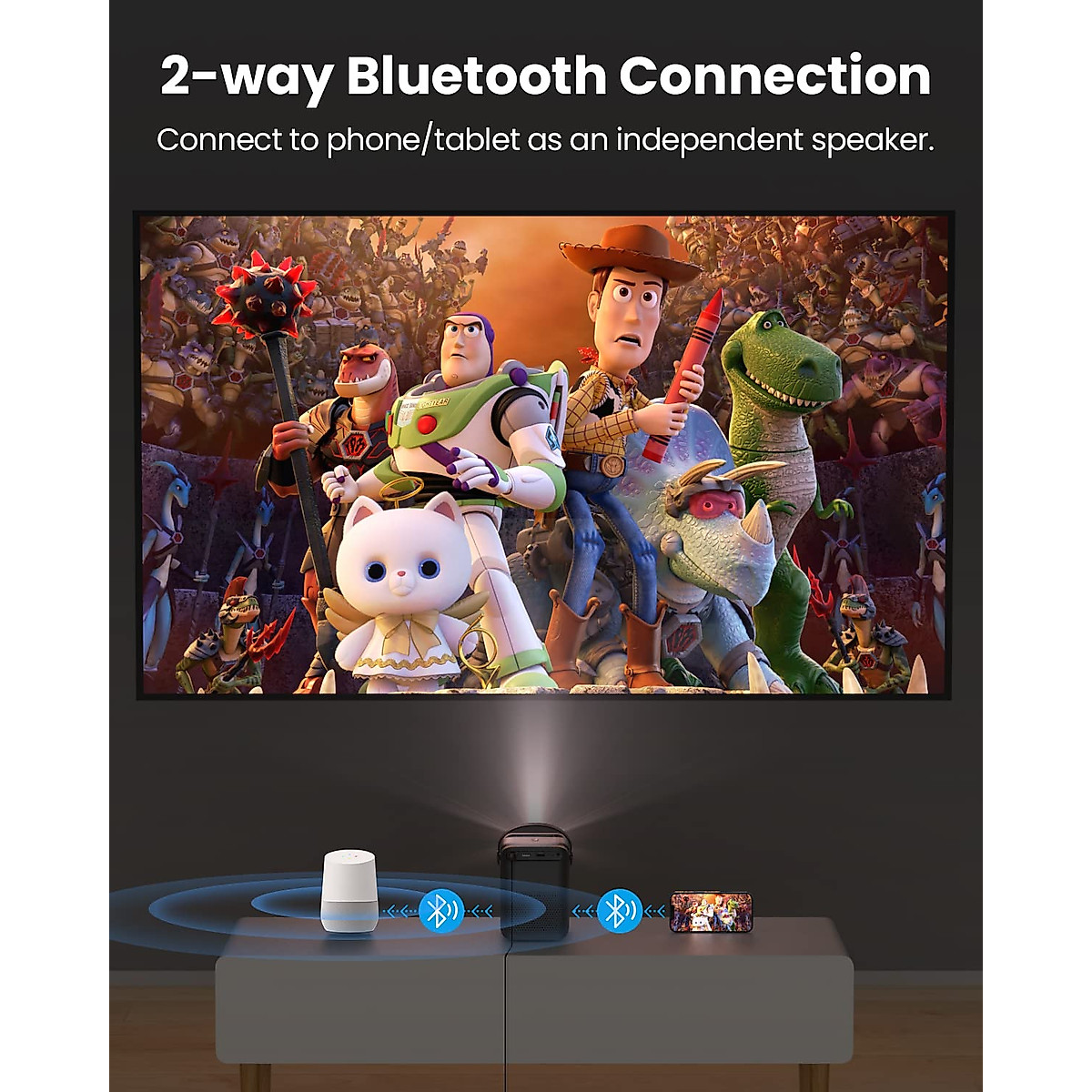 ETOE D2 EVO with 100'' Screen