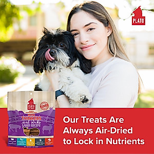 Plato Pet Treats Air Dried Dog Treats Lamb Mini Thinkers Sticks, Natural Dog Treats, Real Meat, Air Dried, Made in the USA, 6oz