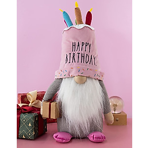 Rae Dunn Kitchen Gnome - Home Decor Decorations - Scandinavian/Swedish/Nordic Tomte Nisse Plush Figurine - 19" Elf with Beard Ornament for Shelf, Table, Desk Décor (Pride (Valentine Gnome))