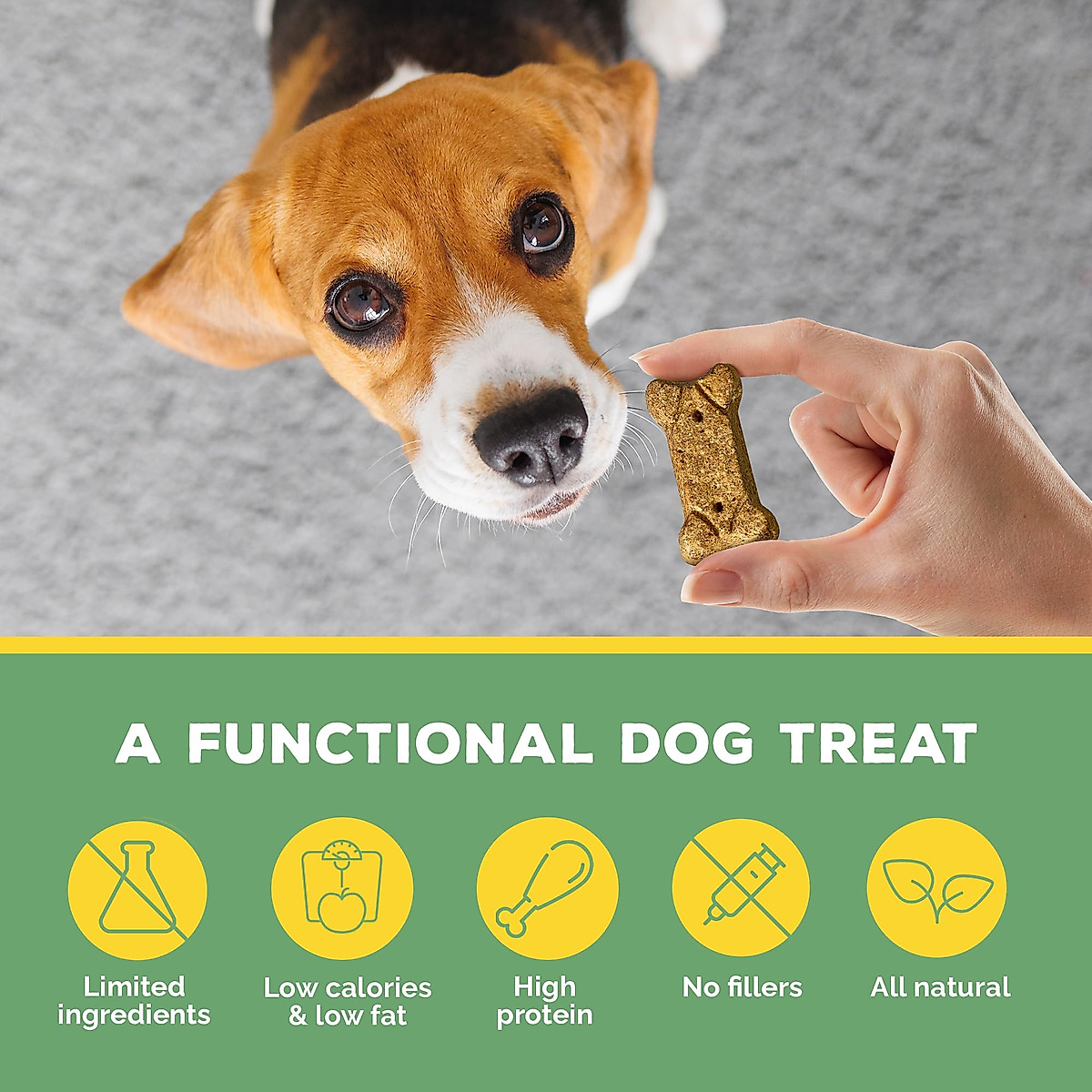 Brutus Bone Broth Biscuits (Chicken) - Healthy Dog Treats - Natural Dog Biscuits with Dog Bone Broth and Real Chicken Meat - 18 Grams of Protein - 8 OZ (Pack of 2)