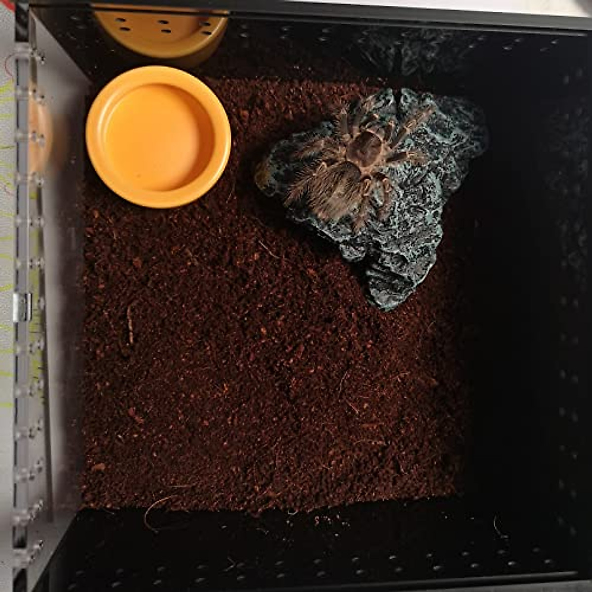 2 Pack Reptile Food Bowls Mini Ceramic Water Feeder Bowl Anti-Escape Mini Reptile Feeder for Lizard Anoles Bearded Dragons Crested Gecko Hermit Crabs