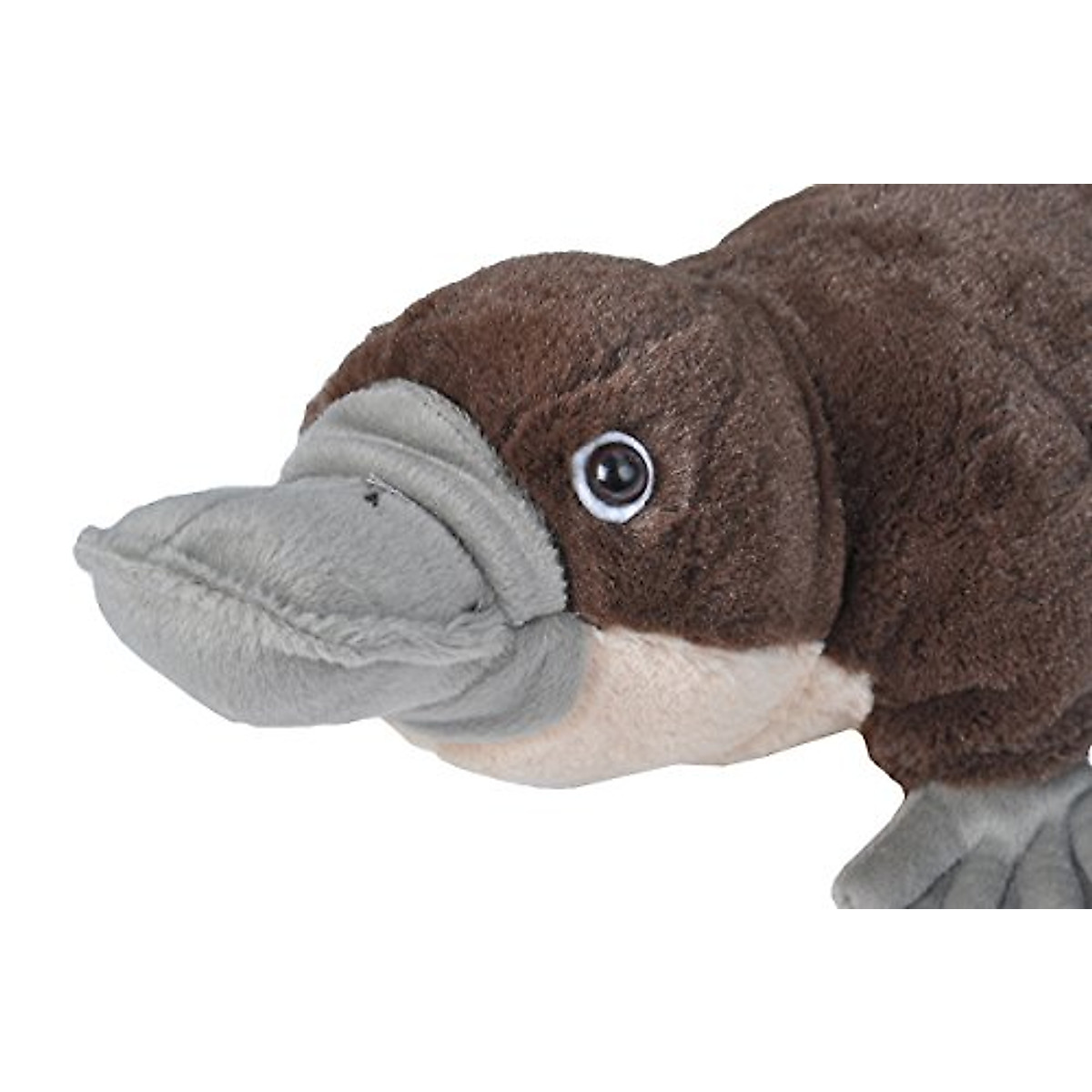 Wild Republic Platypus Plush, Stuffed Animal, Plush Toy, Gifts for Kids, Cuddlekins 12 inches