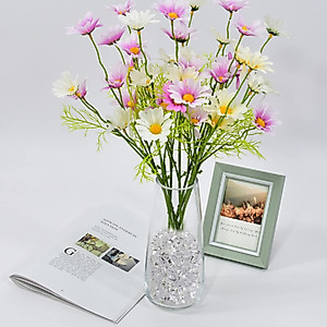 Fake Ice Cubes 750 PCS Clear Acrylic Rocks Vase Fillers for Centerpieces,Crystal Gems Stones Dazzlers Diamonds for Decor Photography Prop,Arts Crafts,Table Scatter,Home Decoration