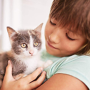 Fleebs Cat Flea Collar - 2 Pack Adjustable Tick Collars for Cat Collar with Essential Oils Fits All Cats