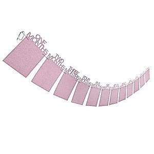 Toxz Kids Birthday Gift Photo Wall Decorations with 1-12 Month Milestone Photo Banner Monthly,Hangging Decor,for Kids Birthday Gift(Ship from US!)