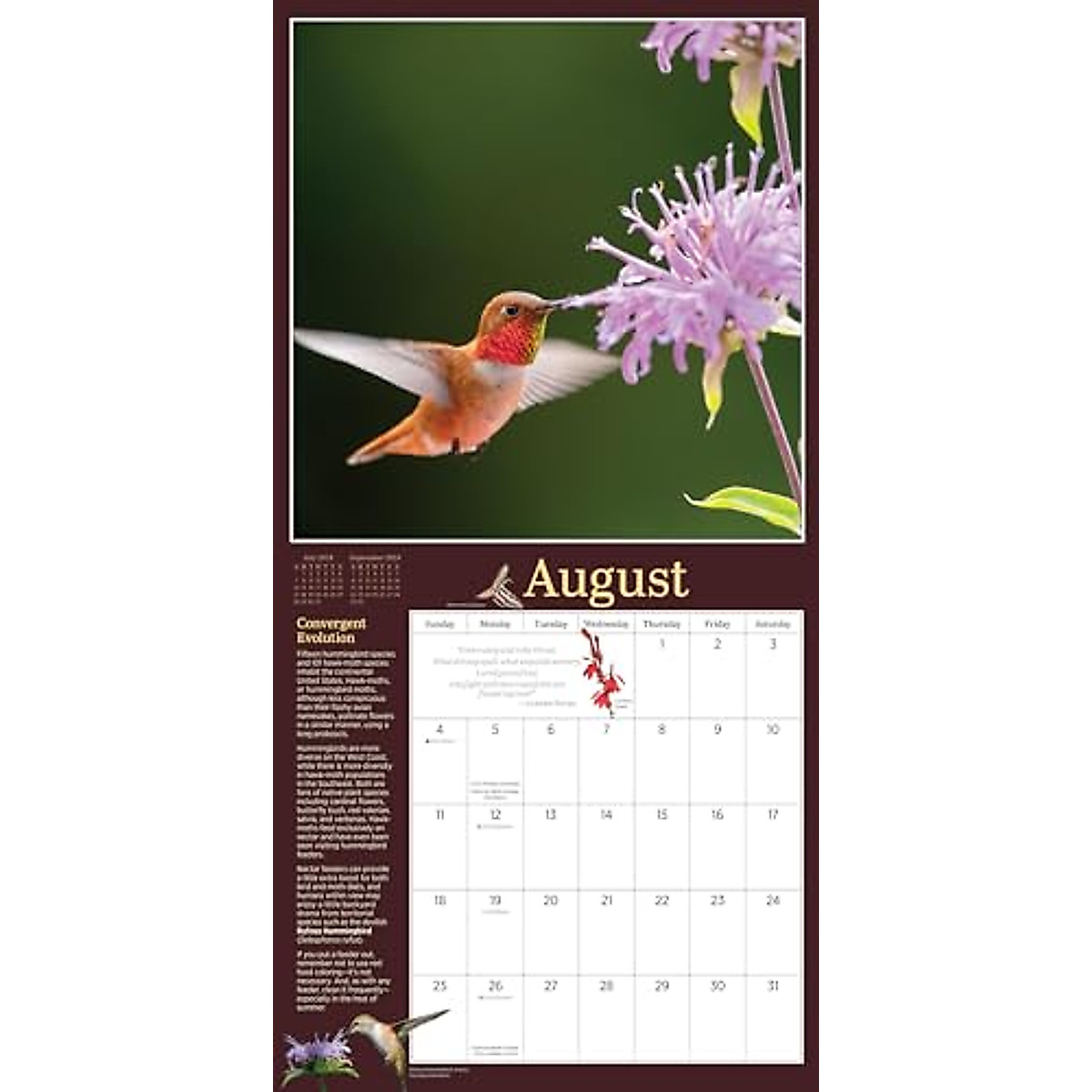 Audubon Birds in the Garden Wall Calendar 2024: Use Native Plants to Attract Birds and Pollinators to Your Backyard