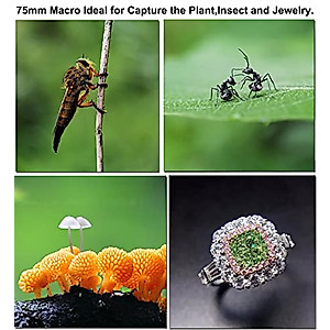 ALILUSSO 75mm Macro Lens,for iPhone,Samsung,Pixel,BlackBerry etc,with Clip,Cell Phone Lens,Detail Lens,Close-up Pictures