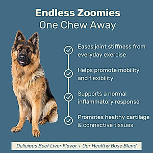 Canine Keeps Glucosamine for Dogs - Dog Hip and Joint Supplement - Glucosamine, Chondroitin, MSM, Green Lipped Mussel & Collagen for Joint Pain & Inflammation - Dog Joint Support Treats - 90 Ct.