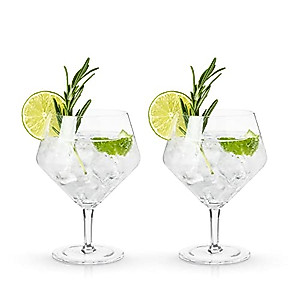 Viski Angled Stemmed Gin & Tonic Glasses, Highball glasses, Cocktail Glasses, Vodka Tonic Glasses, Gin Glasses for Gin Lovers Gift set of 2, 14oz, Clear
