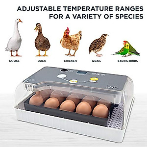Jumbl Clear Egg Incubator, Fully Automatic Digital Poultry Hatching Machine, Temperature Control & Automatic Egg Turner, LED Candler, Mini 12-35 Egg Incubator Breeder for Chicken, Ducks & More