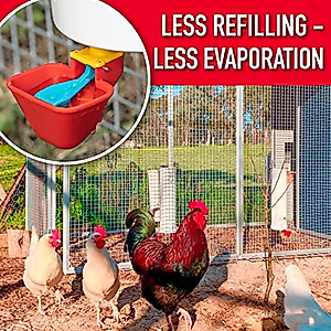 Royal Rooster Chicken Feeder and Chicken Waterer Set - 7 lb Poultry Chicken Feeder with Rain Cover and 1 Gallon Waterer System - Chicken Coop Accessories: Valve-Cup Waterer and Gravity-Feed Feeder Set