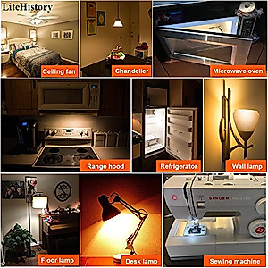 LiteHistory E17 led Bulb ETL 25w Appliance t7 led Bulb 250lm 2700K 2w Microwave Light Bulb 2Pack