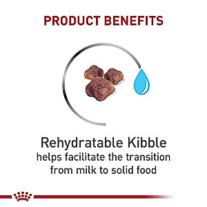 Royal Canin Feline Health Nutrition Mother & Babycat Dry Cat Food for Newborn Kittens and Pregnant or Nursing Cats, 6 lb Bag