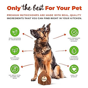 NutriChomps Nutri Ears-Easy to Digest, Rawhide-Free Dog Treats, Bundle of 10, Real Chicken Flavor, Brown (NT082V-10)