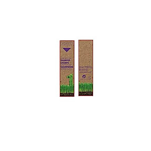 Salerm - Shampoo for White or Bleached Hair - Grapeology Biokera Natura Shampoo - 300 ml - With Grape Seed Oil - Nourishes and Hydrates Hair - Gentle Cleanse - Prevents Color Oxidation