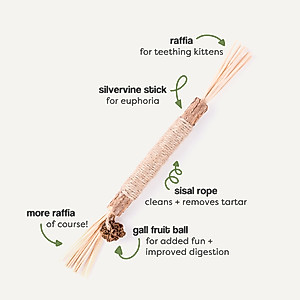 Cat Park Silvervine Sticks for Cats 5 Pcs, Natural Catnip Cat Chew Toys for Indoor Cats Teeth Cleaning, Aggressive Chewers, Kitten Teething Matatabi Chew Stick Cat Toys, Silvervine for Cats Dental Toy