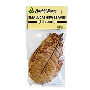Josh's Frogs Small Cashew Leaf Litter (10 Count)