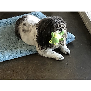 Glory To Dog TinyToy Green Frog Plush Dog Toy for Puppies and Small Dogs