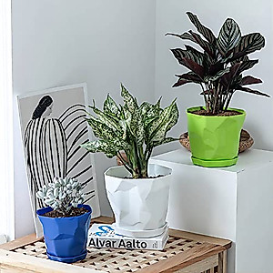 HBSGS Plant Pots Plastic Flower Pots Set with Drainage Holes and Saucers Planter for Indoor Plants Outdoor Plants and Flowers, Colorful