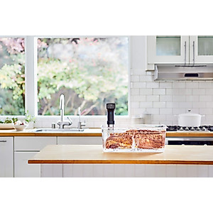 Anova Culinary Sous Vide Precision Cooker Pro, 1200 Watts, Black and Silver