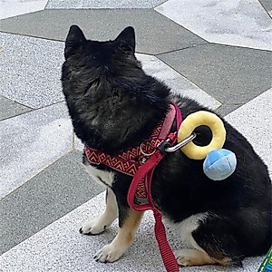 Love Ring Case Stuffed Plush Toy,Creative Ring Box Plush Toy,Plush Dog Toys Ring Box for Small Medium Large Dogs Training Playing (1PCS)