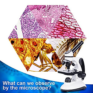 Monocular Microscope for Adults Students,40X-2000X Magnification,Dual LED Illumination Beginners Microscopes with Science Kits,Phone Adapter,Carrying Case,AC Adapter,15 Slides for Lab Class Study