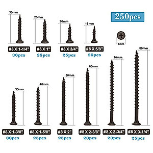 #8 Drywall Screws 250PCS Black Carbon Steel Flat Head Fast Self Tapping Drywall Screws,Wood Screws,Wood Screws Assortment Set by SG TZH