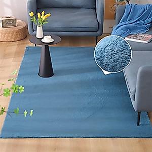 KASENTEX Fluffy Faux Fur Soft Area Rugs for Bedroom Living Room Carpet, Home Fuzzy Plush Rug for Dorm, Anti-Slip Rug, 4 x 6 Feet, Blue