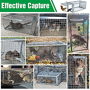2 Packs Humane Rat Trap Outdoor, Wanqueen Humane Mouse Traps Indoor, Small Rodent Chipmunk Squirrel Trap and Other Live Animal Cage Catch and Release
