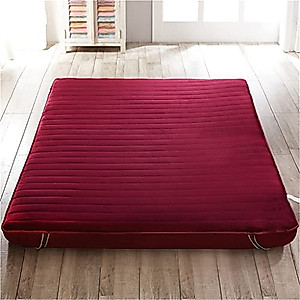 ZPZFDC Thickened Flannel Mattresses Keep Warm Tatami Solid Student Dormitory Mattress King Queen Twin Full Size (Color : White-Dinosaur Doodle4, Size : 150x190cm(59x75in))