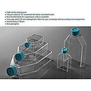 Sterilized Cell Culture Flasks - 250ml, 75cm2, Vent Cap, 5/pk