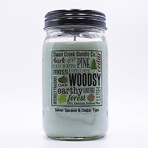 Swan Creek Silver Spruce & Cedar Tips 24 oz Kitchen Pantry Jar Candle