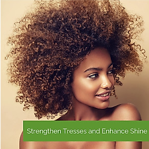 GIOVANNI 2chic Ultra-Moist Dual Action Protective Leave-In Spray - Protects from Heat Styling Breakage, Avocado & Olive Oil, Aloe Vera, Shea Butter, Botanical Extracts, No Parabens, Color Safe - 4 oz