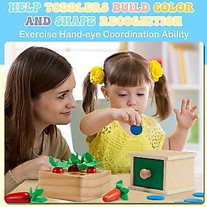 Yunsailing 3 Set Montessori Toys Object Permanence Box with Tray Three Balls Coin Box with Five Coins Carrots Harvest Developmental Game Wooden Toys Montessori Baby Toys for Infant