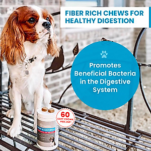 PawMedica Dog Anal Gland Chews to Stop Scoot for Dogs - Anal Gland Dog Constipation Relief - Recommended Dog AnalGland Support Chews Fiber - Fiber Supplement for Dogs (60 Dog Pumpkin Chews)