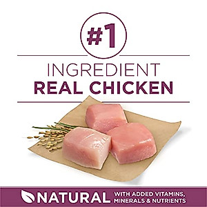 Purina ONE Plus Healthy Puppy Formula High Protein Natural Dry Puppy Food with added vitamins, minerals and nutrients - 16.5 lb. Bag