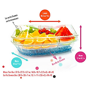 GESPINK Transparent Polystyrene Condiment Tray, 15.1 x 11 x 6.7 inches, Easy to Clean, With Lid and Bottom Tray