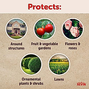 Sevin Insect Killer Ready to use 1 Gallon