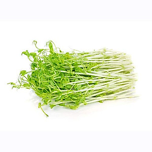 Nature Jims Sprouts 3 Bean Seed Mix - Certified Organic Green Pea, Lentil, Adzuki Bean Seeds for Planting - Non-GMO Vegetable Seeds - Resealable Bag for Freshness - Fast Sprouting Bean Seeds - 16 Oz