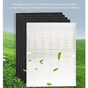 LBLVBNEWD 115115 Replacement Filter A Compatible with Winix PlasmaWave Air Purifier 6300, P300, 5300, 5500, 5300-2, 6300-2, C535 (2 Premium HEPA Filters + 6 Carbon Filters)