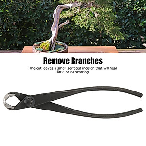 OKJHFD 6.9in Bonsai Tools, Manganese Steel Resistant Easy Branch Cutter Professional Knob Cutter, Straight Edge Pliers Trimmer Gardening Tools for Bonsai Modeling