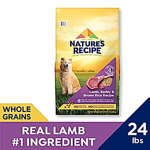 Nature’s Recipe Original Dry Dog Food for Adult Dogs, Lamb & Rice Recipe, 24 lb Bag