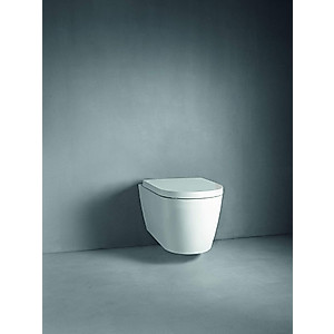 Duravit 2530090092 Bowls Toilets and Bidets, White
