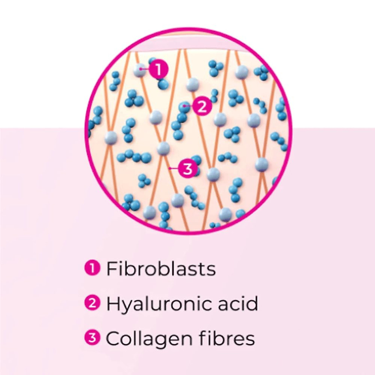 Orthomol Beauty, Women's Beauty Supplement, 7-Day Supply, Supports Hair, Skin, and Nail Health, Collagen Supplement with Coenzyme Q10