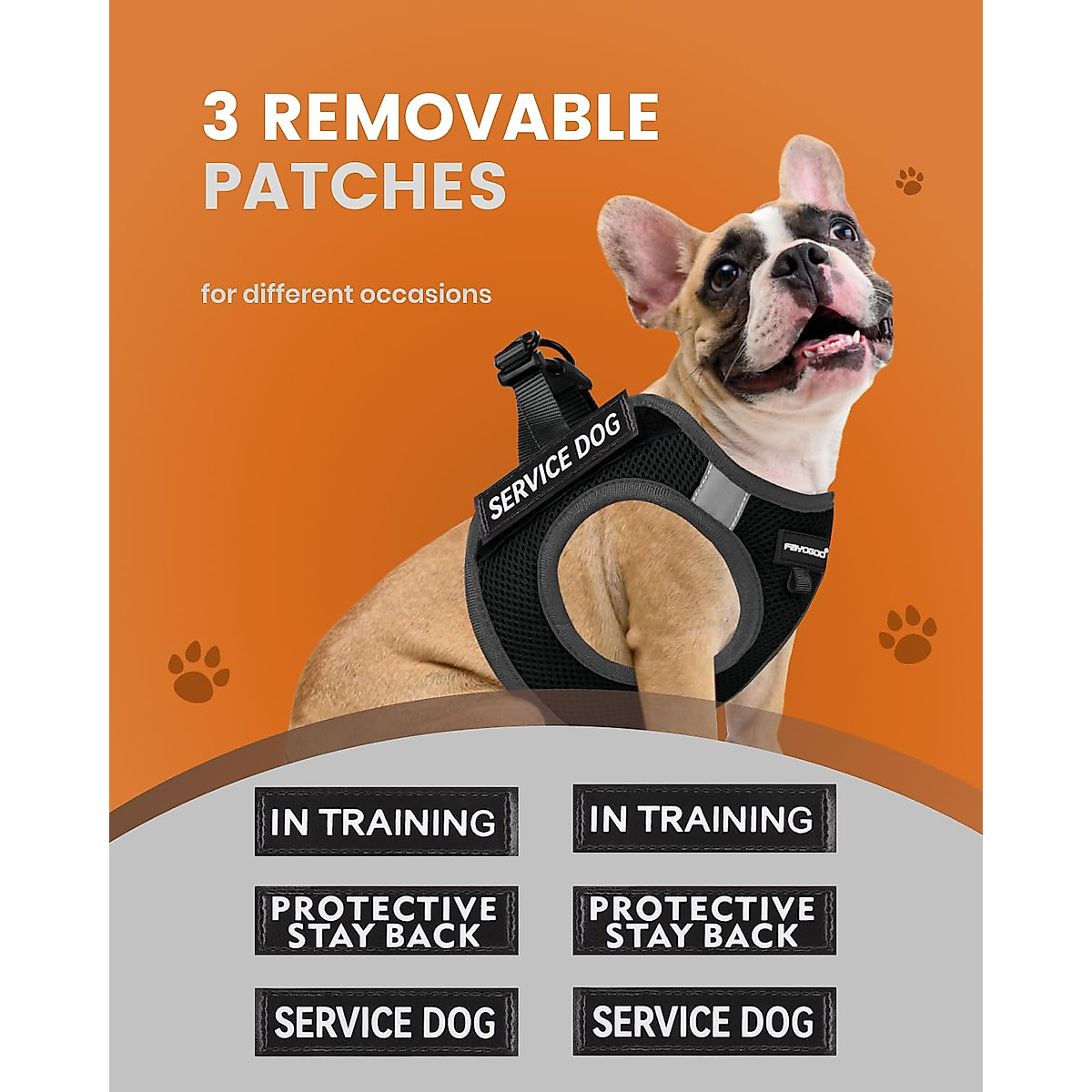 FAYOGOO Service Dog Vest for Small Breed - Lightweight Dog Harness with 6PCS Removable Patches - Puppy Harness and Leash Set for Walking,Training
