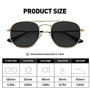 Fozono Hexagon Polarized Sunglasses for Women Men Double Bridge Polygon Retro Sunglasses(Gold/Grey)