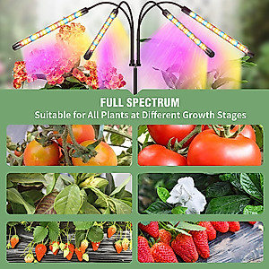 Grow Light with Stand, FRENAN Grow Lights for Indoor Plant with Red Blue & Full Spectrum, 10 Dimmable Brightness, 4/8/12H Timer, 3 Switch Modes, Adjustable Gooseneck, Suitable for Various plant Growth
