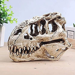 KODENG Tyrannosaur Skull T-Rex Skull Gifts Lifelike Resin Crafts Dinosaur Skull Fossil Teaching Skeleton Model Home Aquarium Decor (A)