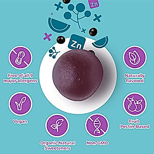 Hyland's Naturals Organic Elderberry Plus Gummies, Organic Black Elderberry with ZINC and Vitamin C, Immune Support Supplement for Adults, 60 Vegan Gummies (30 Days)